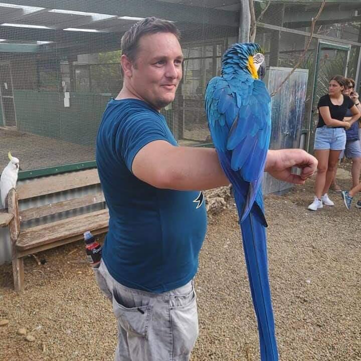 Brisbane Parrot Rescue - Sunnybank Hills, Queensland - Nextdoor