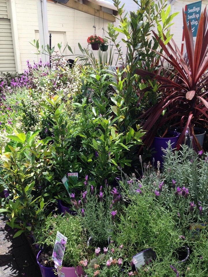 Bunnings Subiaco - Subiaco - Nextdoor