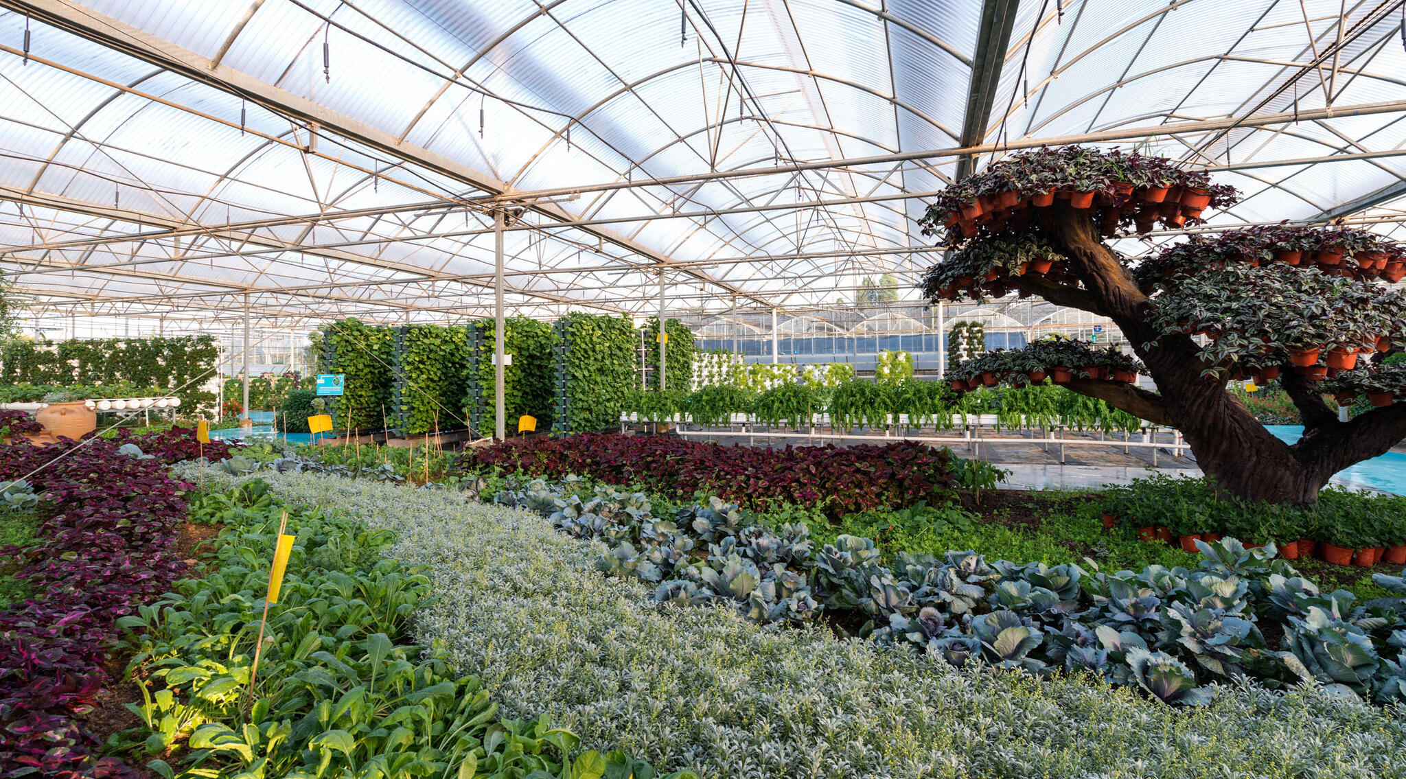 Simon The Plant Man - Nextdoor