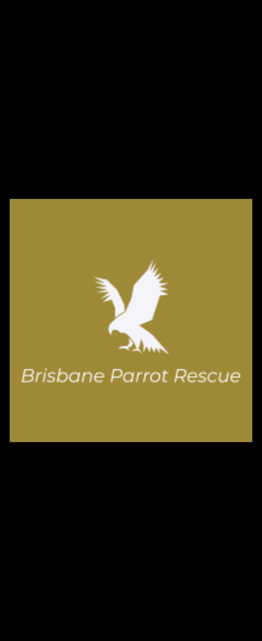 Brisbane Parrot Rescue - Nextdoor