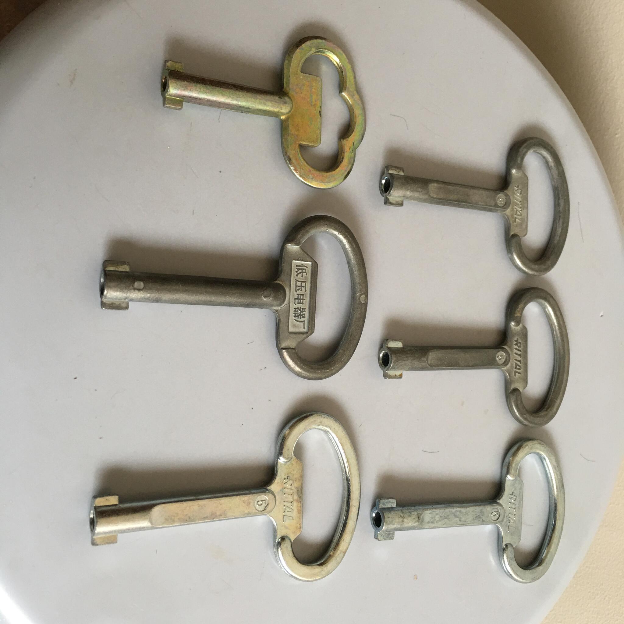 Rittal Electrical Cabinet Keys | Cabinets Matttroy