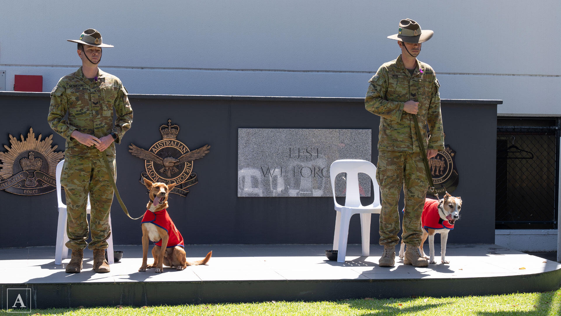 The sacrifice of animals in war was honoured at Pittwater RSL yesterday ...